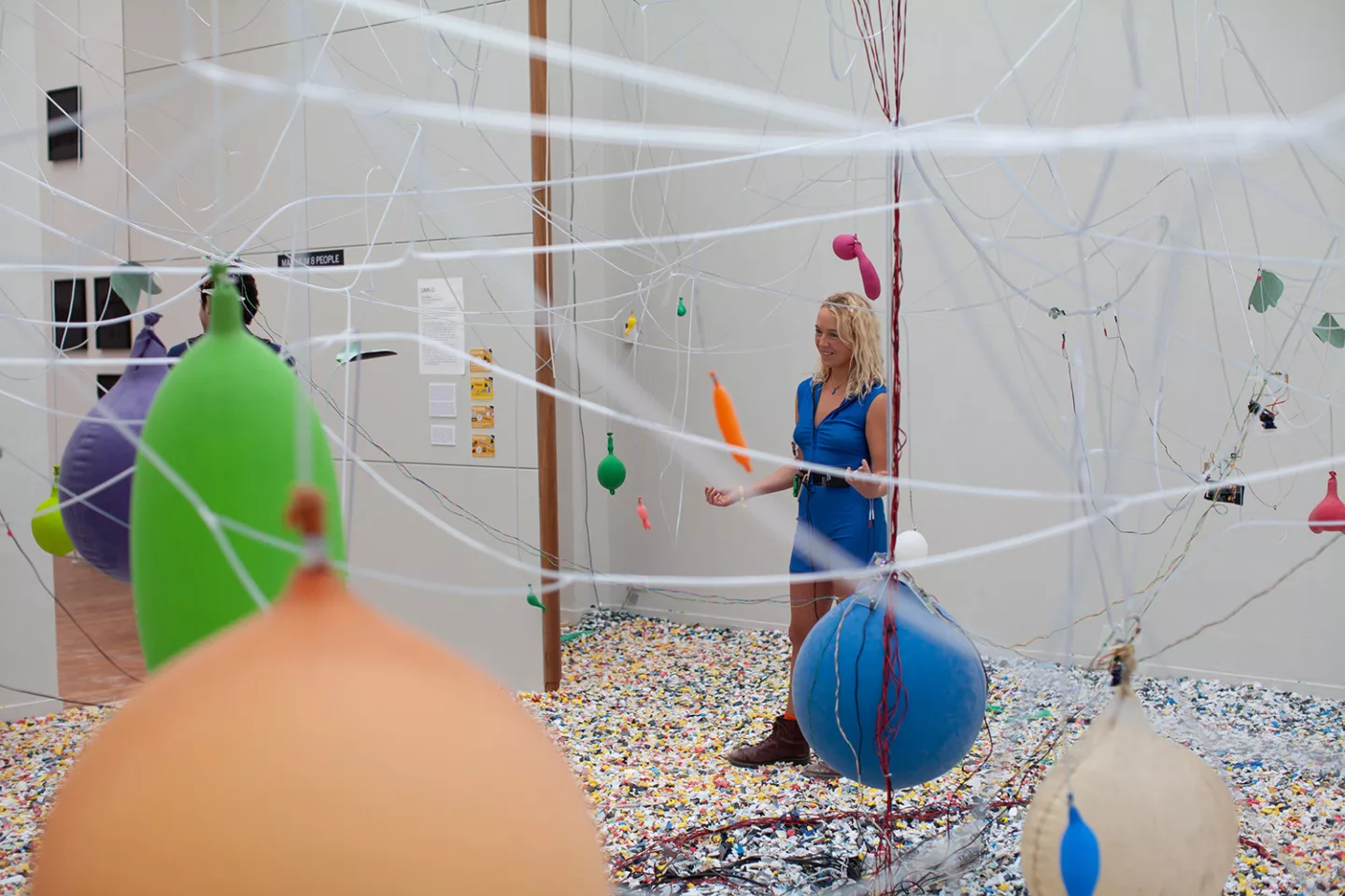 interactive multimedia and design imd